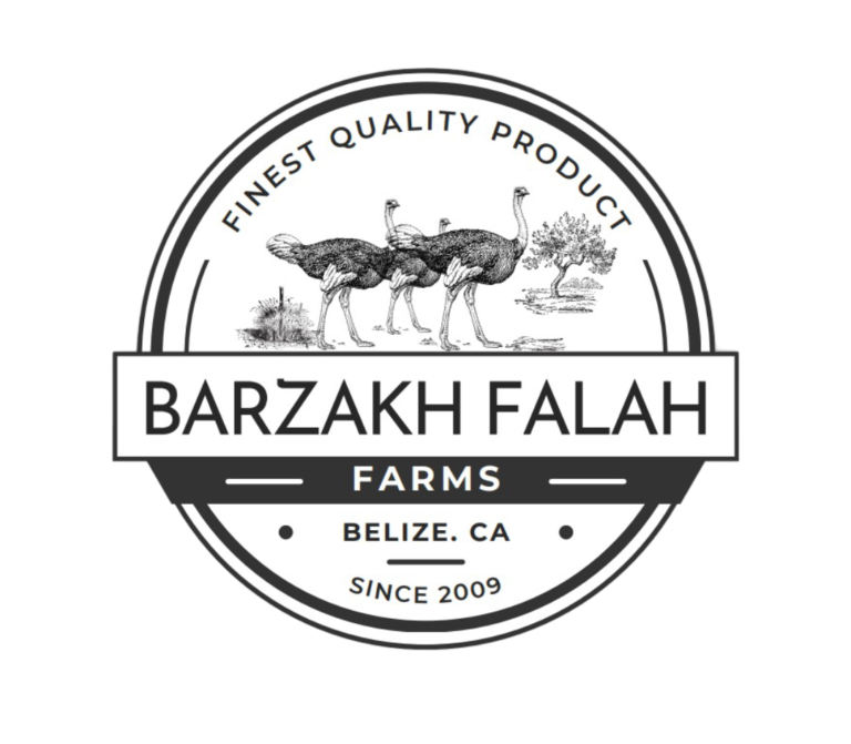 Home - Barzakh Falah Farms